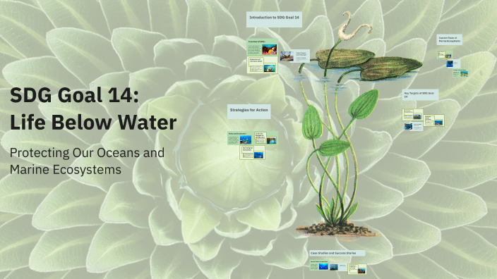 SDG Goal 14: Life Below Water by ssh pvtltd on Prezi