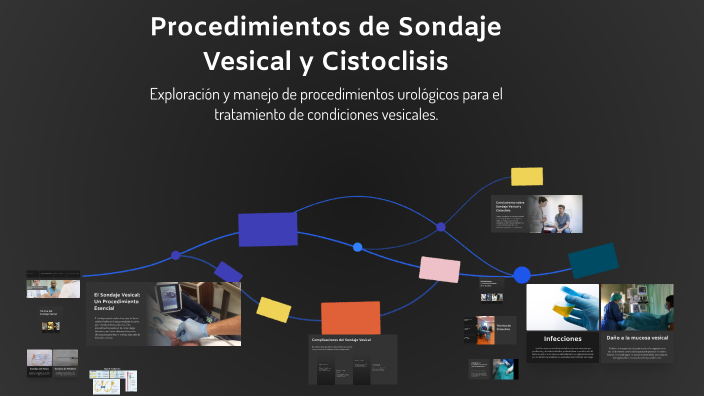 Procedimientos de Sondaje Vesical y Cistoclisis by Ariana Lizbeth ...