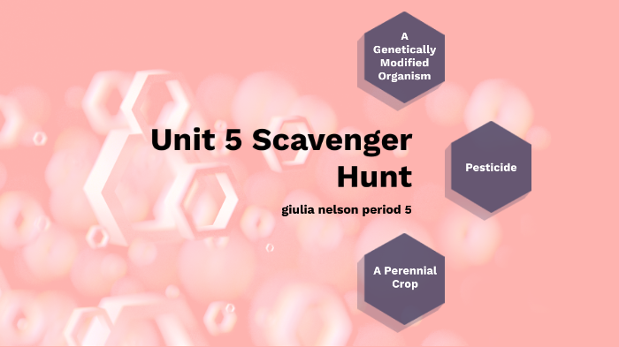 Unit 5 Scavenger Hunt by Giulia Nelson on Prezi