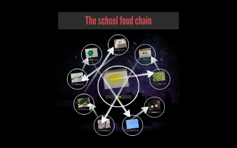 The school food chain by Janna Bowers on Prezi