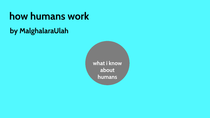 How humans work by Malghalara Maheed Ulah on Prezi