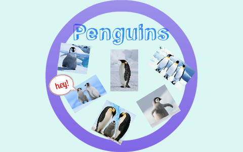 Penguin Diagram by helen l-a-w on Prezi