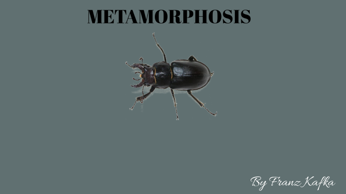 METAMORPHOSIS by Alejandro Santos Zimmerman on Prezi