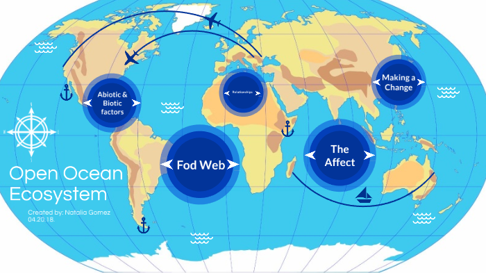 Open Ocean Ecosystem by on Prezi