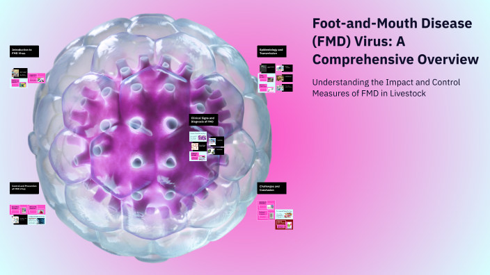 Foot-and-Mouth Disease (FMD) Virus: A Comprehensive Overview by Ahmed ...
