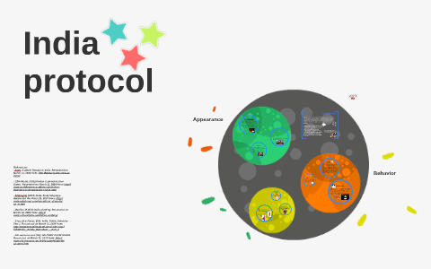 India protocol by Fernanda Zacarias on Prezi