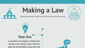 Making a Law Flowchart by Ainsley Carter on Prezi Design