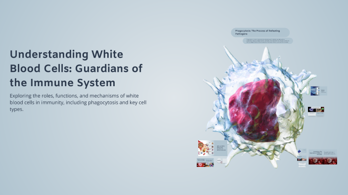 Understanding White Blood Cells: Guardians of the Immune System by ...