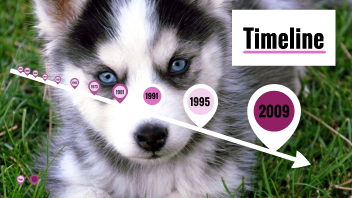 Reagan S Timeline by Reagan Shaffer on Prezi