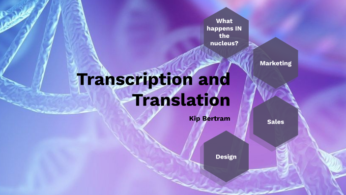 Transcription and Translation by Kip Bertram on Prezi