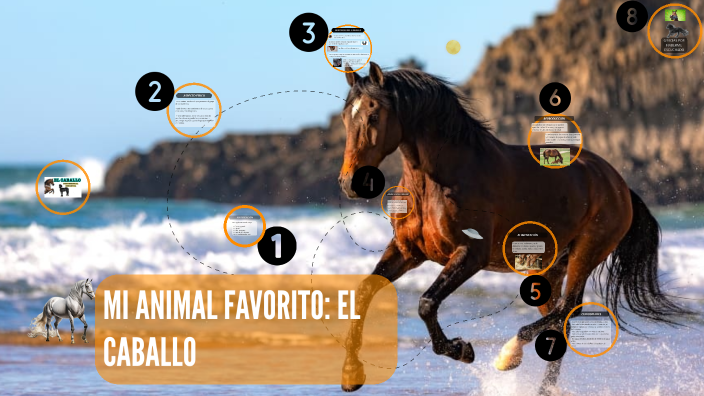 MI ANIMAL FAVORITO: EL CABALLO by Patricia VF on Prezi