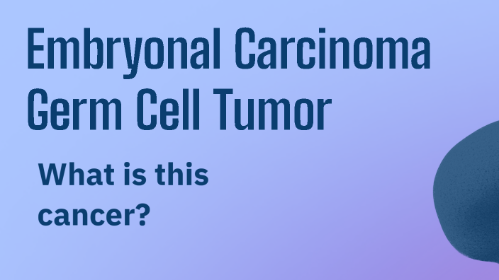 What is an Embryonal Carcinoma Germ Cell Tumor? by Makenzie Piper on Prezi