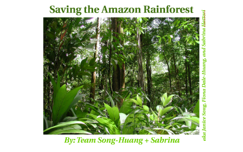 Saving the Amazon Rainforest by Fiona D.-H. on Prezi