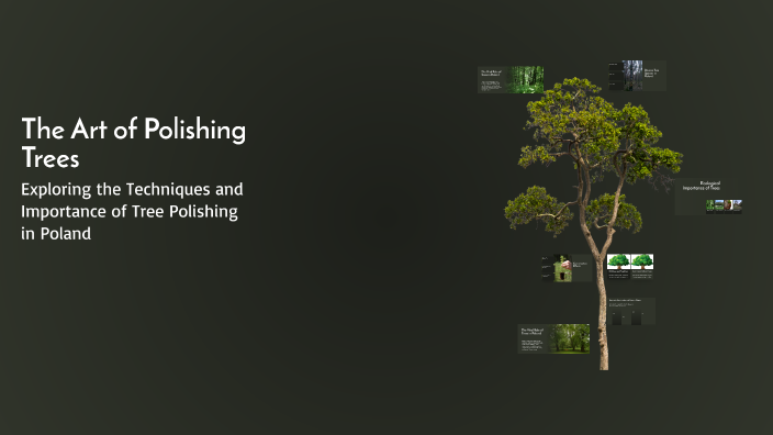 The Art of Polishing Trees by szyszaa4 44 on Prezi