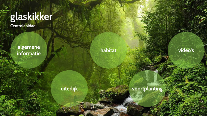 glaskikker by zoe van brabant on Prezi