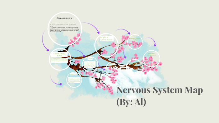 Nervous System Map by Al Colantonio on Prezi
