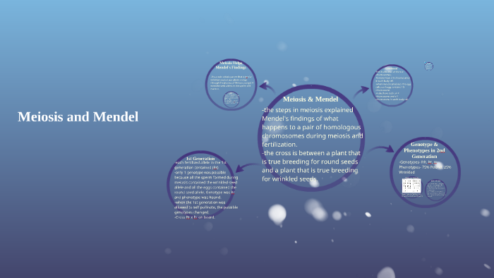Meiosis and Mendel by Michele Fishman on Prezi