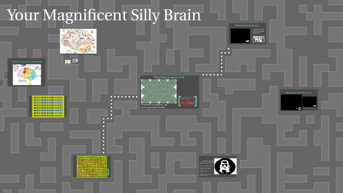Your Magnificent Silly Brain by Jason Van Swol on Prezi