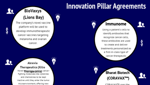 Board Project Infographic by Rose Ritts on Prezi Design