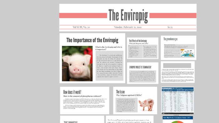 ENVIRO PIG by victoria le on Prezi