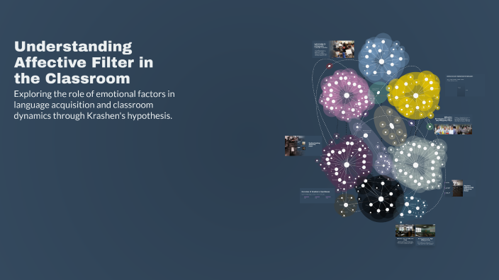 Understanding Affective Filter in the Classroom by Cintia Maria Lobo ...
