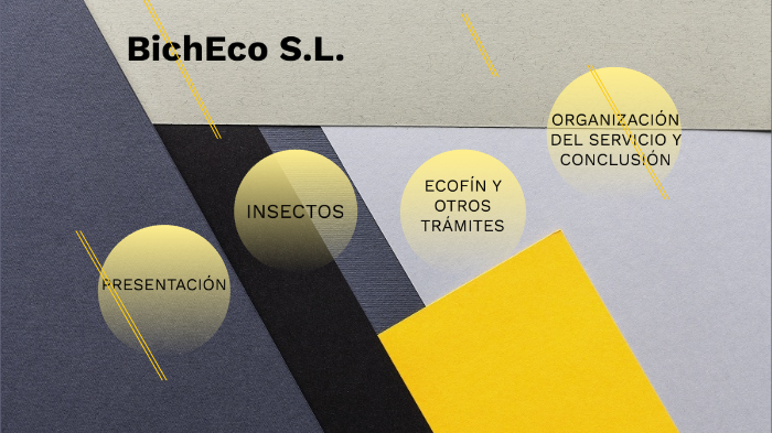 Plan de empresa BichEco by Eva Pulido on Prezi