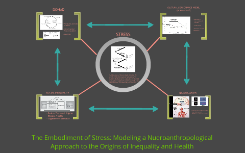 EMBODIMENT AND STRESS by Holly Horan on Prezi