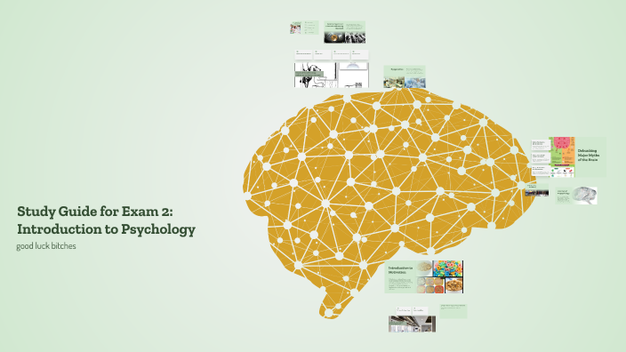 Study Guide for Exam 2: Introduction to Psychology by Natalie Edwards ...