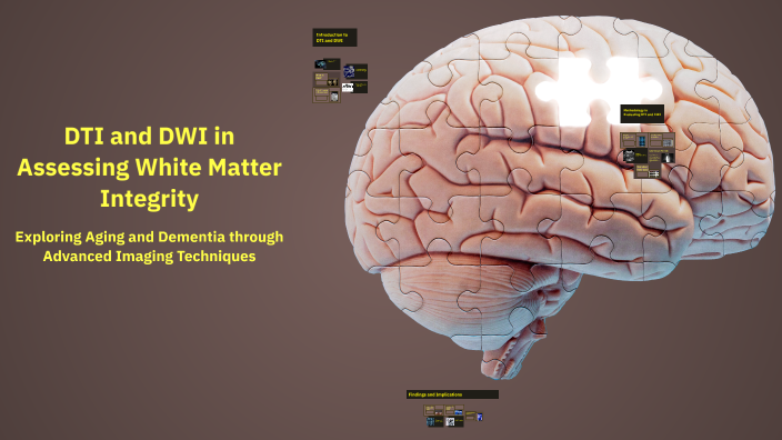 DTI and DWI in Assessing White Matter Integrity by Richard Mensah on Prezi
