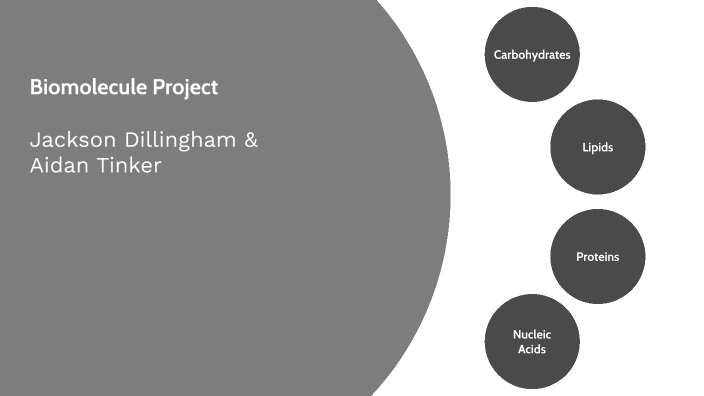 Biomolecule Project by Jackson Dillingham on Prezi