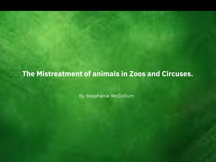 The Mistreatment of animals in Zoos and Circuses. by Stephanie Mccollum ...