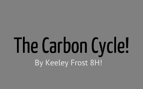The Carbon Cycle! by Keeley Frost