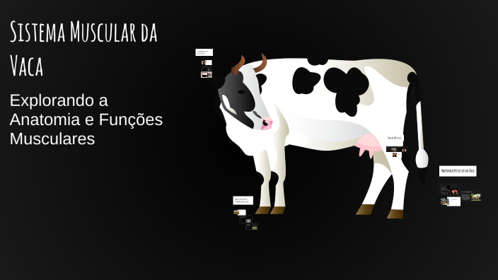 Sistema Muscular da Vaca by carlos Eduardo on Prezi