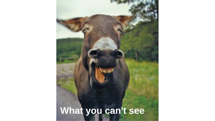 Whats Hidden? by Lydia Mashburn on Prezi