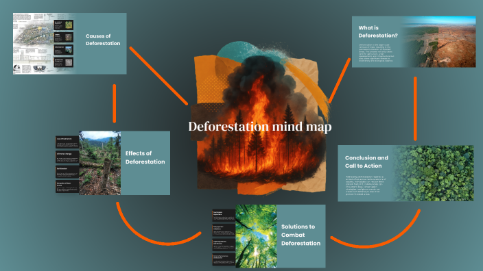Understanding Deforestation: Causes, Effects, and Solutions by nadia ...