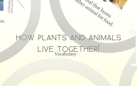 How Plants and Animals live together by Ms. Elizabeth Ojeda on Prezi