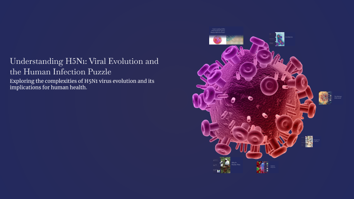 Understanding H5N1: Viral Evolution and the Human Infection Puzzle by ...
