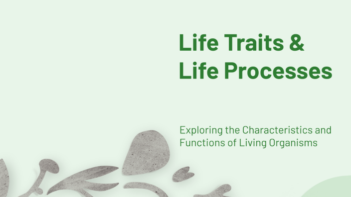 Life Traits and Life Processes by Bella Zrebiec on Prezi