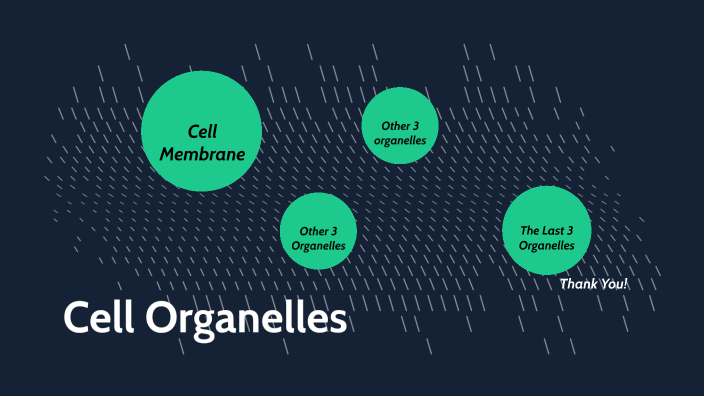 Cell Organelles Factory Analogy by Yuto Tsuruta on Prezi