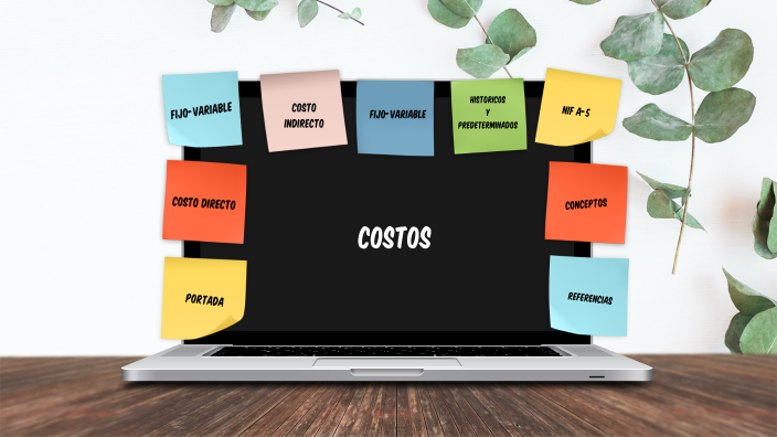 COSTOS by VIOLETA GALVAN on Prezi