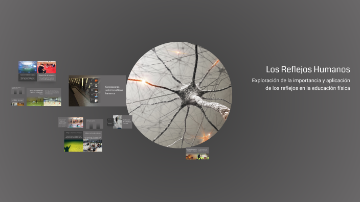 Los Reflejos Humanos by Dan Dos on Prezi