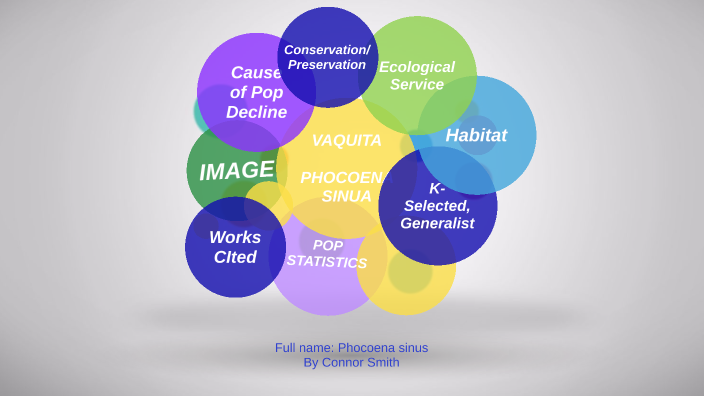 Hippco Project - Connor Smith by Connor Smith on Prezi