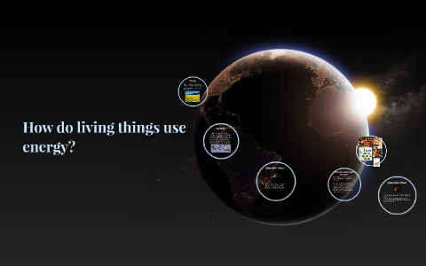 How do living things use energy? by Mey-Lin Mau on Prezi