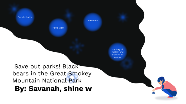 black bear science project by Savanah Caldwell _ Student - WakeWomen on ...