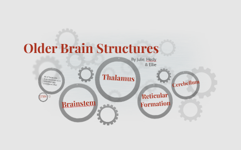 Older Brain Structures by julie gray on Prezi