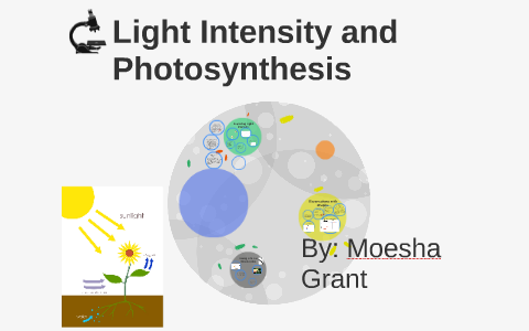 Light Intensity and Photosynthesis by Moesha Grant on Prezi