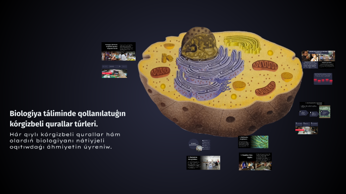 Types of Visual Aids Used in Biology Education by Jalalatdin ...