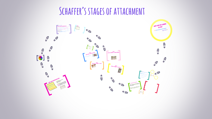 Schaffer’s stages of attachment by Sarah Coen on Prezi