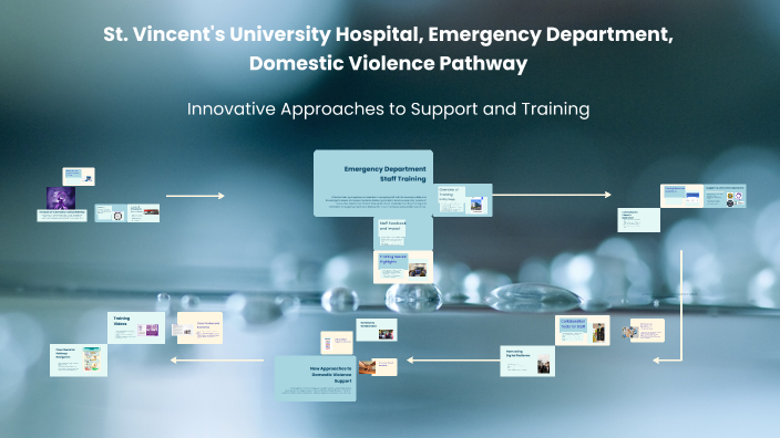 St. Vincent's Hospital Emergency Department Domestic Violence Pathway ...