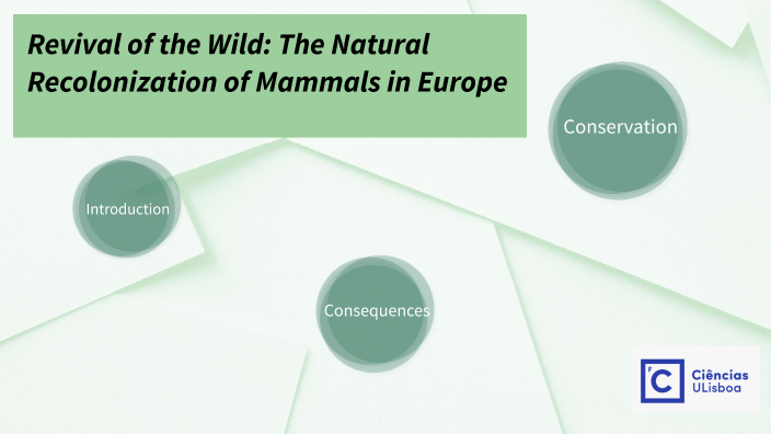 Revival of the Wild: The Natural Recolonization of Mammals in Europe by ...